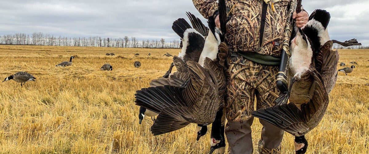 Waterfowl Heavyweights — Final Approach