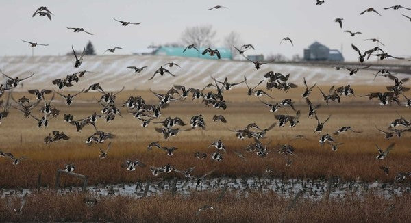 GETTING PERMISSION TO HUNT ON PRIVATE LAND — Final Approach