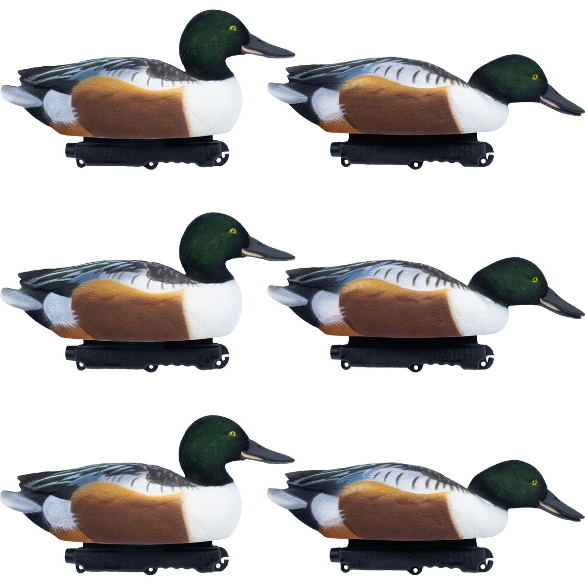 Northern Shovelers, 6 Pack - Floating Duck Decoys | Final Approach ...