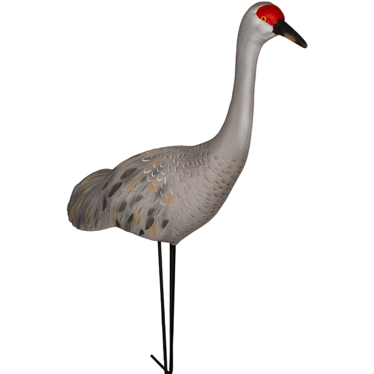 Live Fully Flocked Sandhill Crane Upright - 2 Pack Hunting Decoys ...