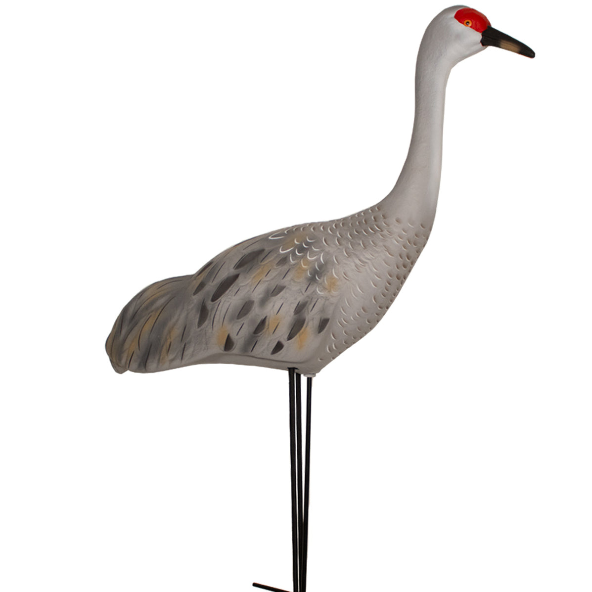 Live Fully Flocked Sandhill Crane Upright - 2 Pack Hunting Decoys ...