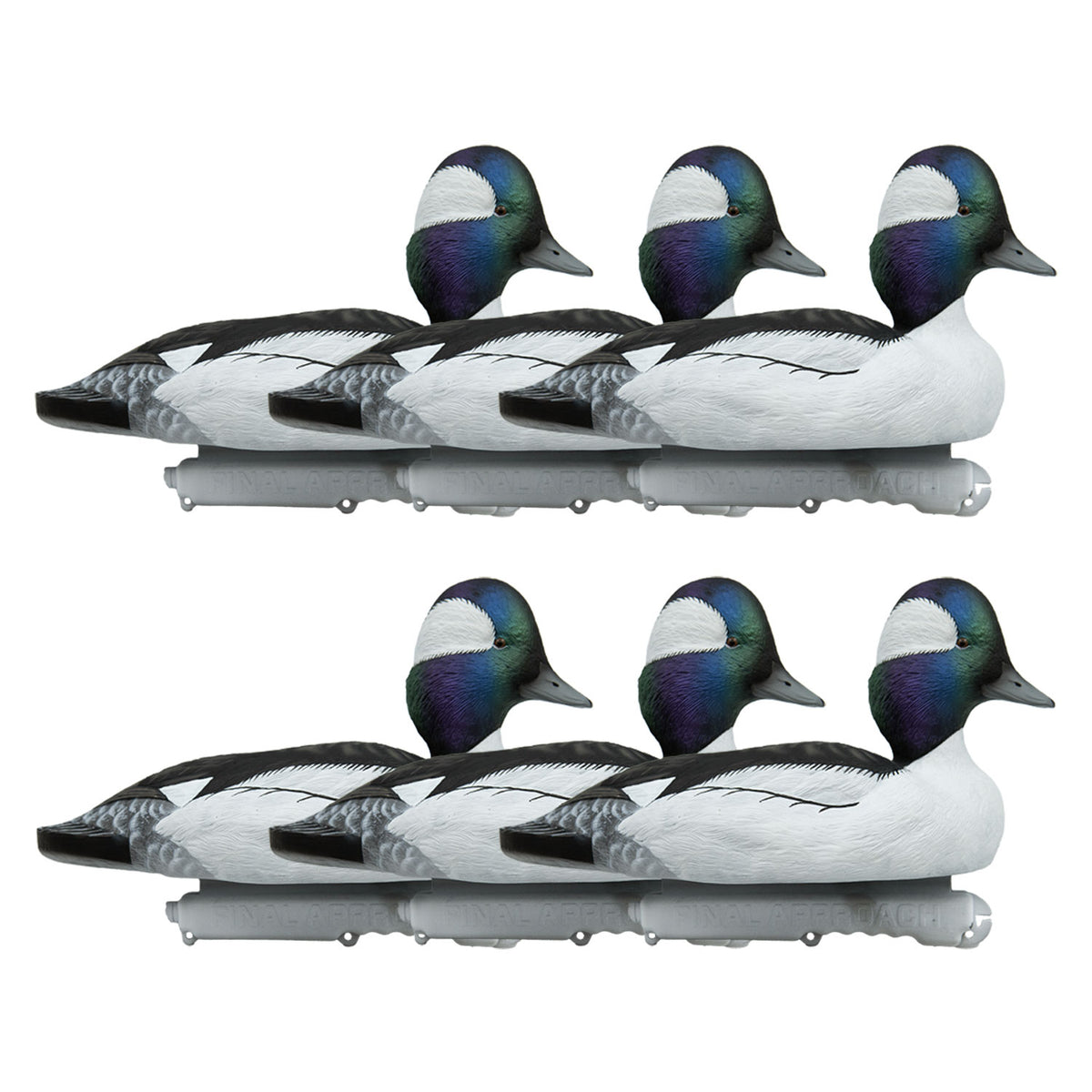 FA Live Foam Filled Common Bufflehead 6 Pack | Final Approach Waterfowl