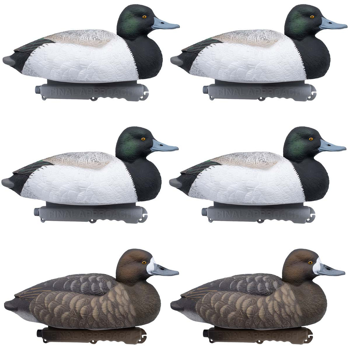 Live Floating Bluebill Duck Decoys, 6 Pack | Final Approach Waterfowl