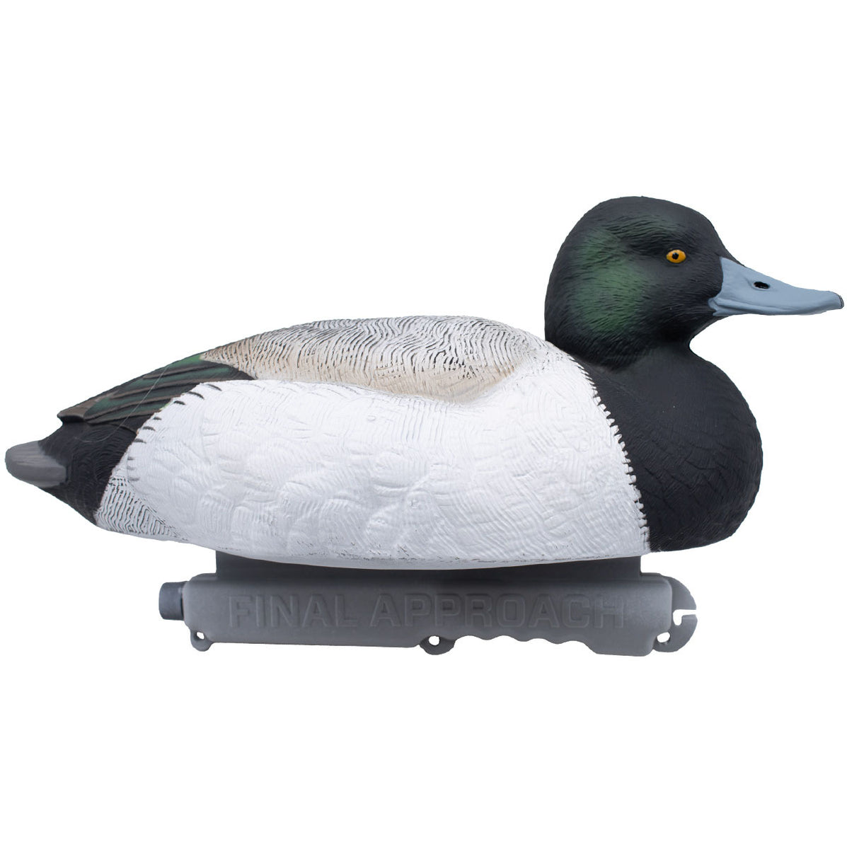 Live Floating Bluebill Duck Decoys, 6 Pack | Final Approach Waterfowl