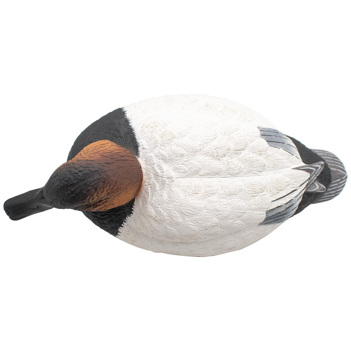 Live Floating Canvasback Duck Decoys, 6 Pack | Final Approach Waterfowl