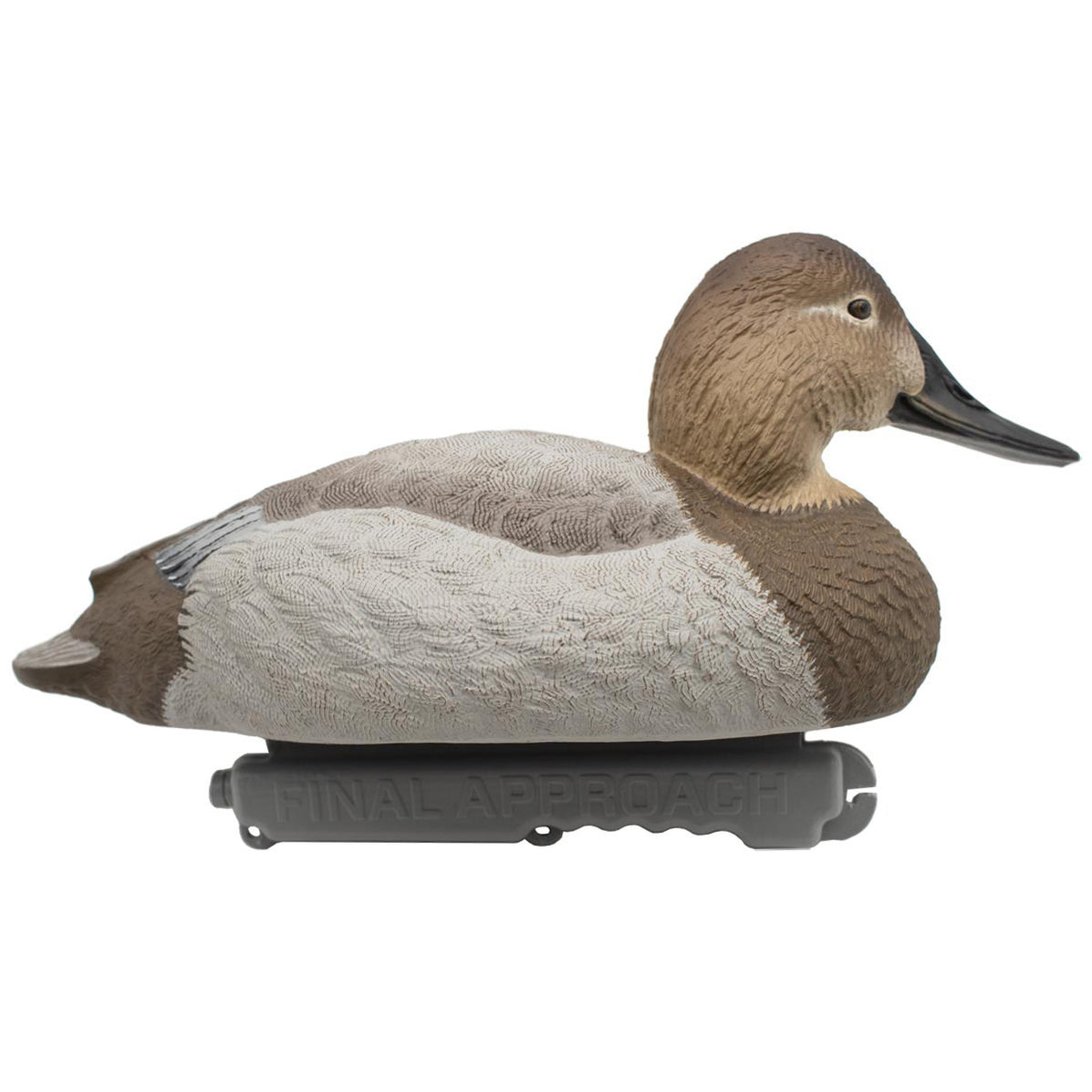 Live Floating Canvasback Duck Decoys, 6 Pack | Final Approach Waterfowl