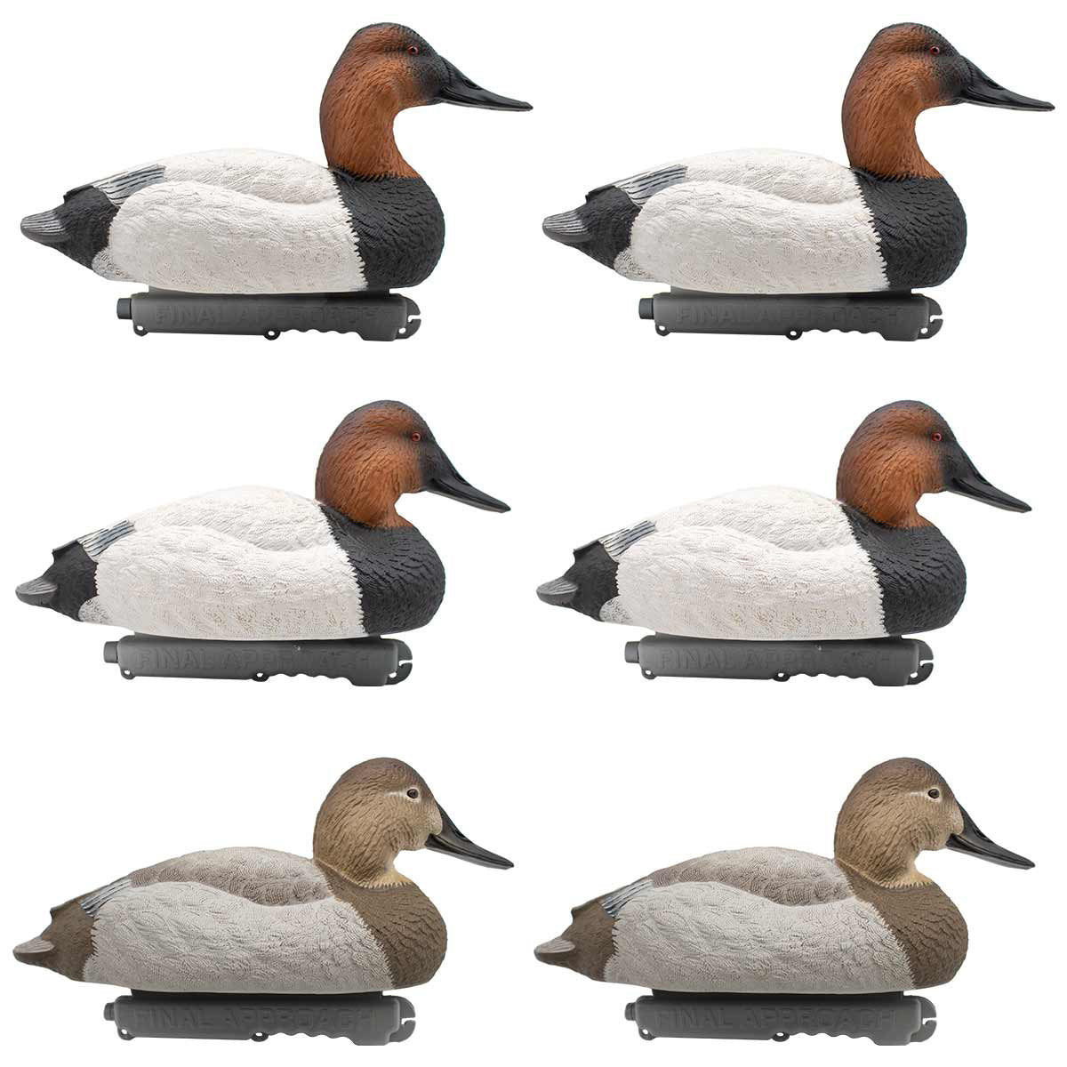 Live Floating Canvasback Duck Decoys, 6 Pack | Final Approach Waterfowl