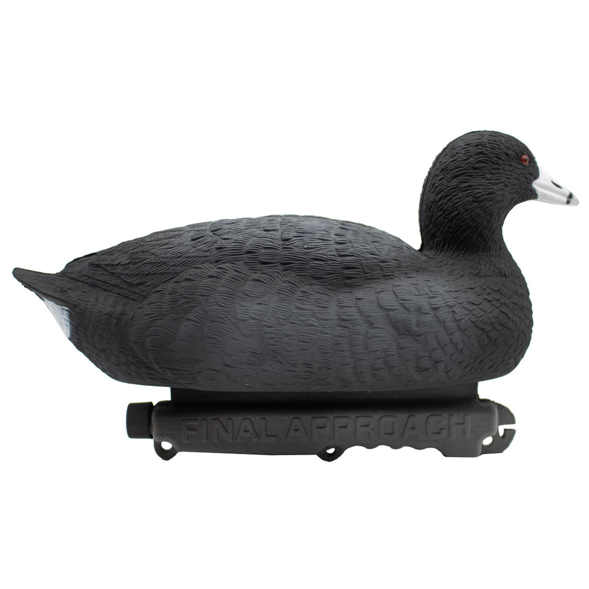 Last Pass Floating Coots Decoys, 12 Pack | Final Approach Waterfowl