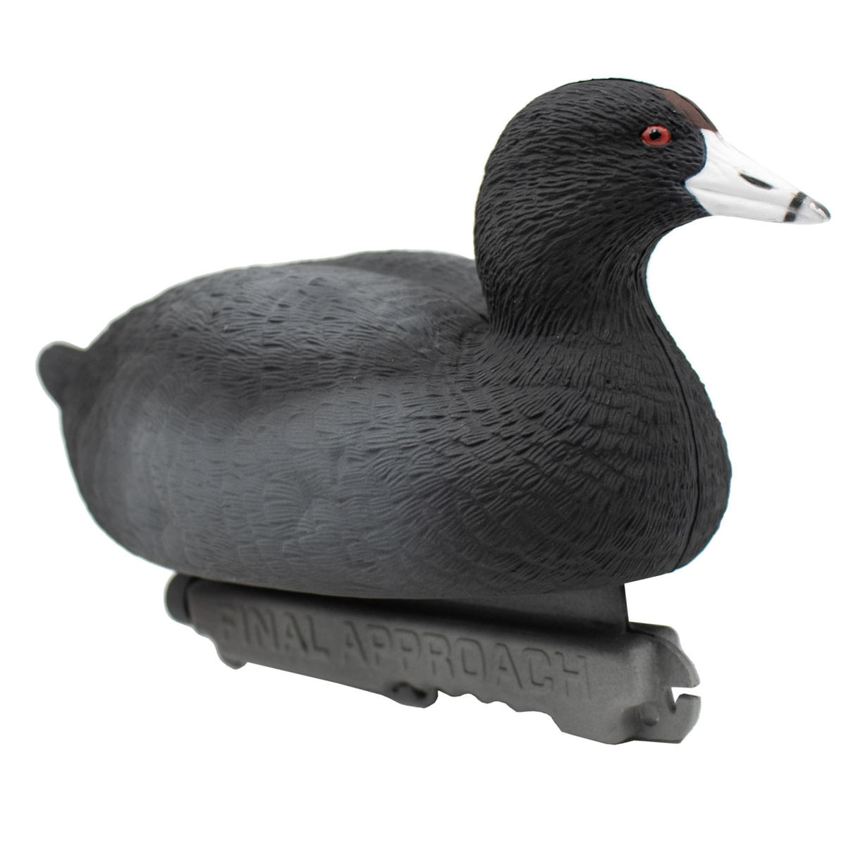 Last Pass Floating Coots Decoys, 12 Pack | Final Approach Waterfowl