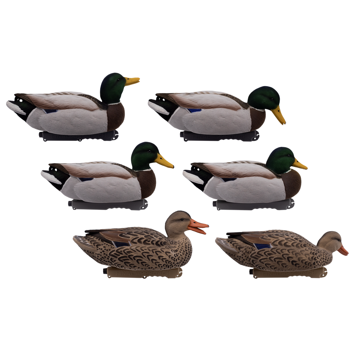 Live Series Fully Flocked Floating Mallards 6 Pack - Duck Decoys ...