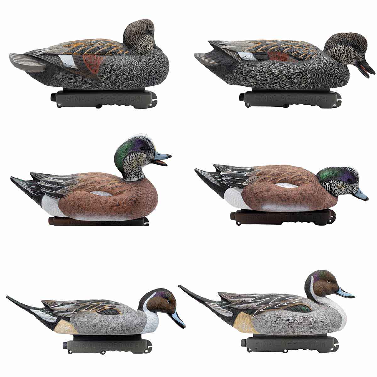 Live Bonus Duck Pack, 6 Pack | Final Approach Waterfowl