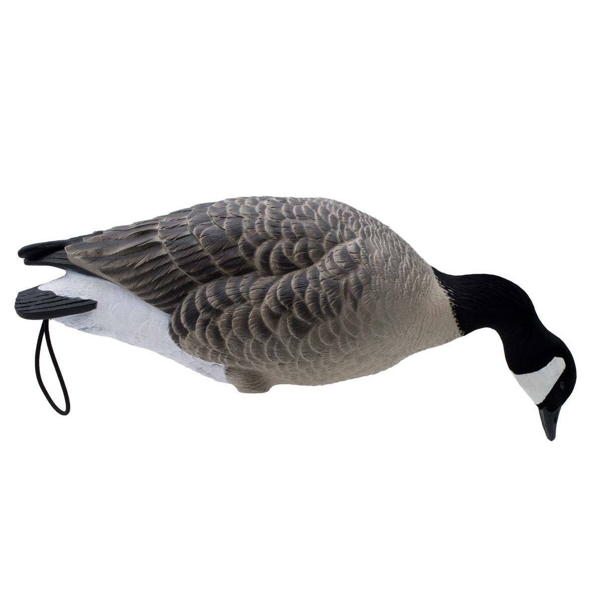 LIVE Full Body Lesser Canada Geese - 6 Pack | Final Approach Waterfowl