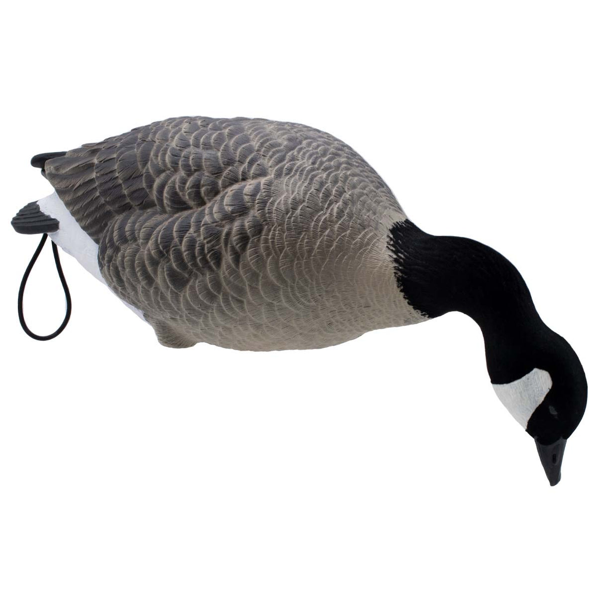 LIVE Full Body Lesser Canada Geese - 6 Pack | Final Approach Waterfowl