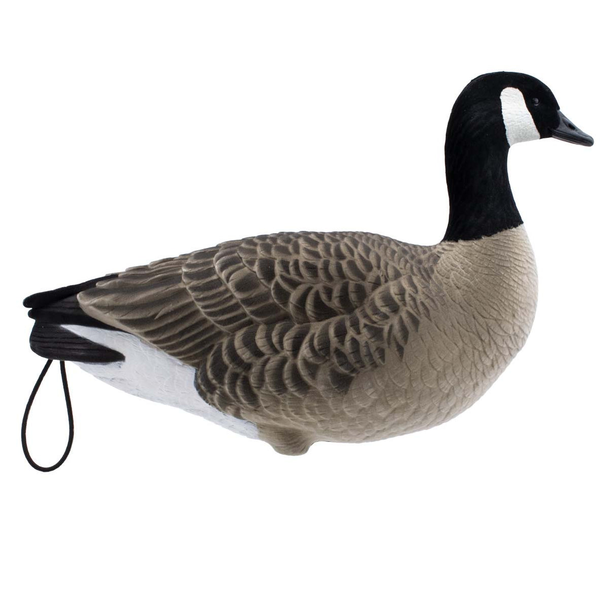 LIVE Fully Flocked Full Body Lesser Canada Geese - 6 pack | Final ...
