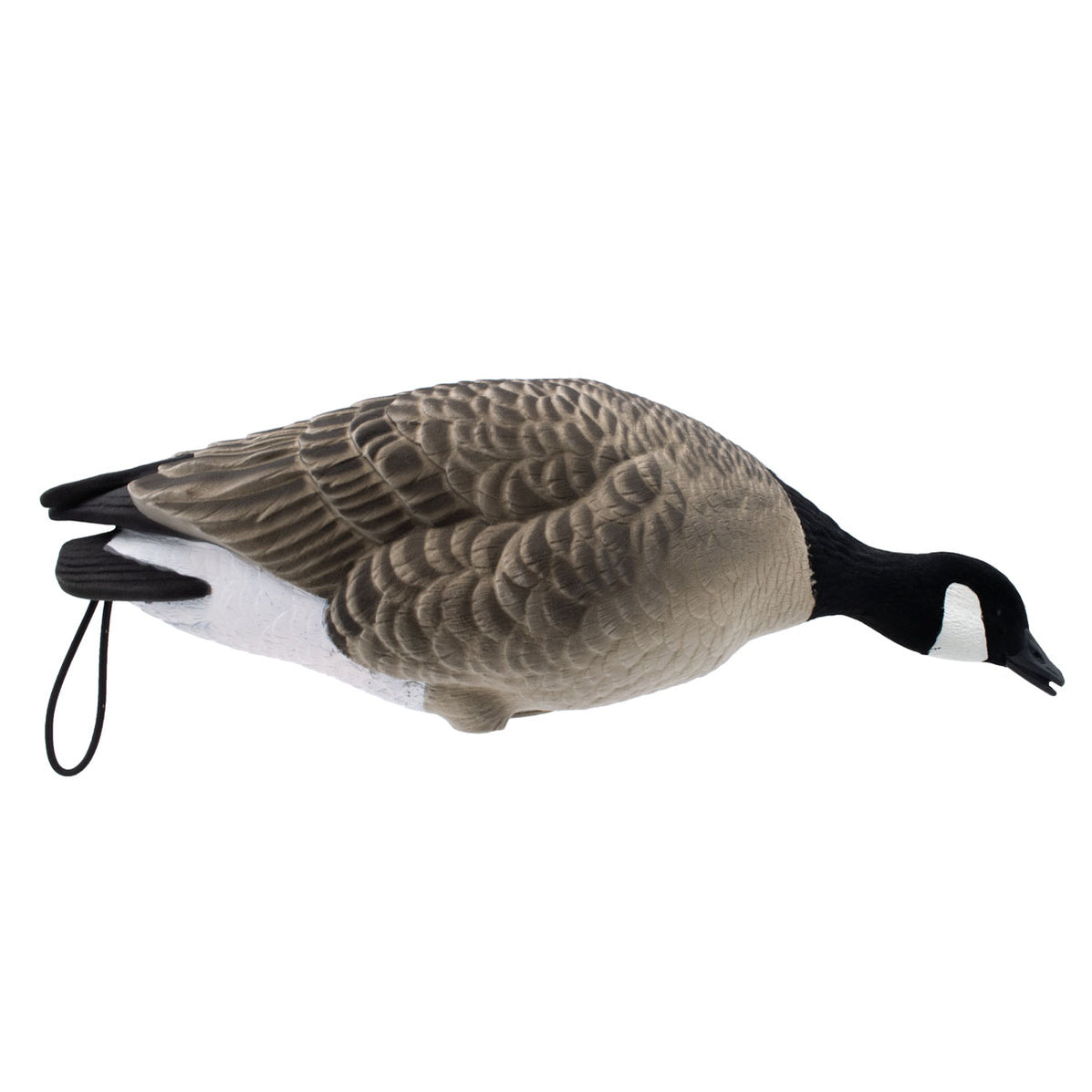 LIVE Fully Flocked Full Body Lesser Canada Geese - 6 pack | Final ...