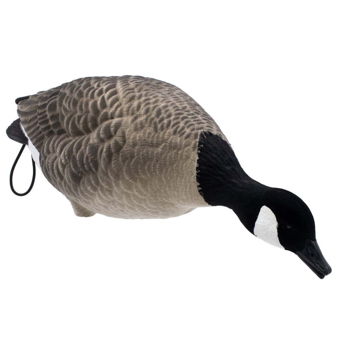 LIVE Fully Flocked Full Body Lesser Canada Geese - 6 pack | Final ...