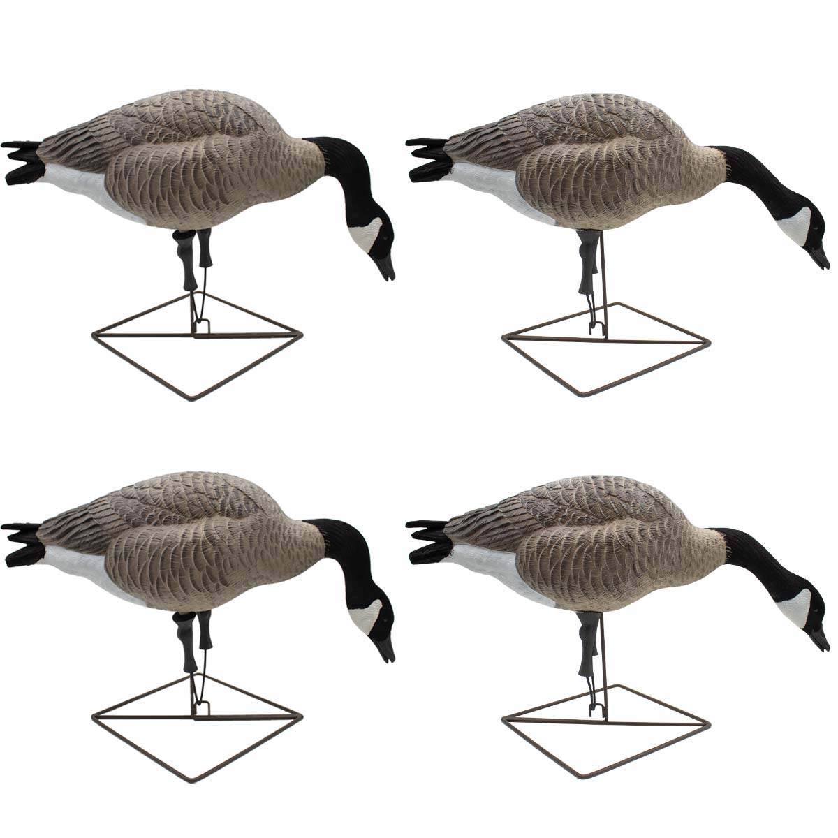 Live Full Body Honkers - Feeders 4 Pack | Final Approach Waterfowl