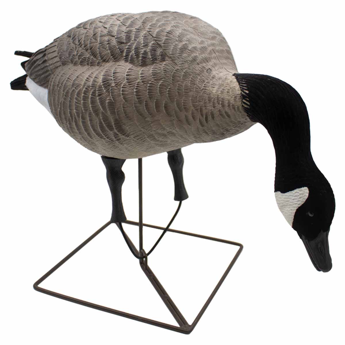 Live Full Body Honkers - Feeders 4 Pack | Final Approach Waterfowl