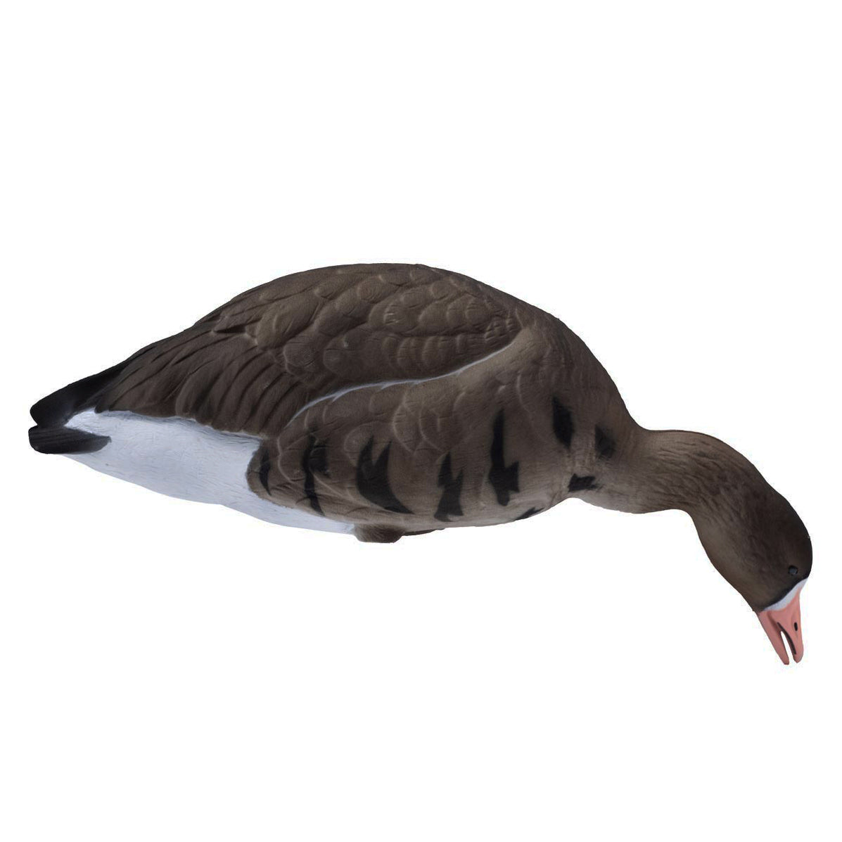 LIVE Fully Flocked Full Body Specklebelly Geese | Final Approach Waterfowl